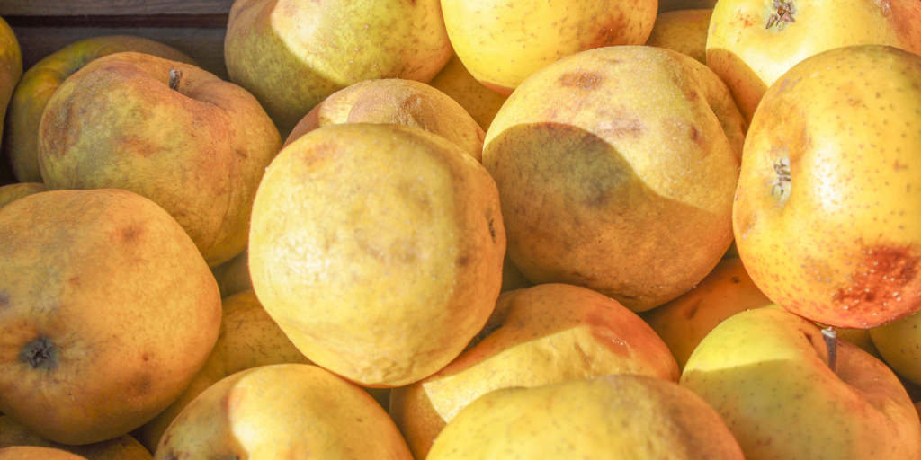 Lasers For Precision Agriculture & Food Safety – Power Technology, Inc.